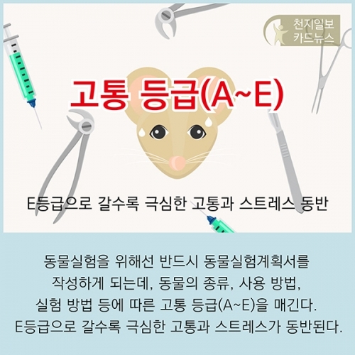 인쇄하기