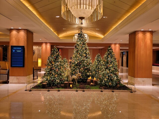 “화려한 크리스마스”… 연말 분위기 만끽할 ‘사진 명소’ 호텔은?