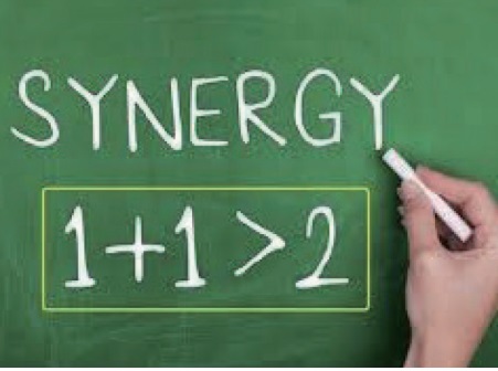 [HWPL 평화교재 2-3] 나의 역할과 의무｜자연 만물이 조화로운 이유는 무엇일까