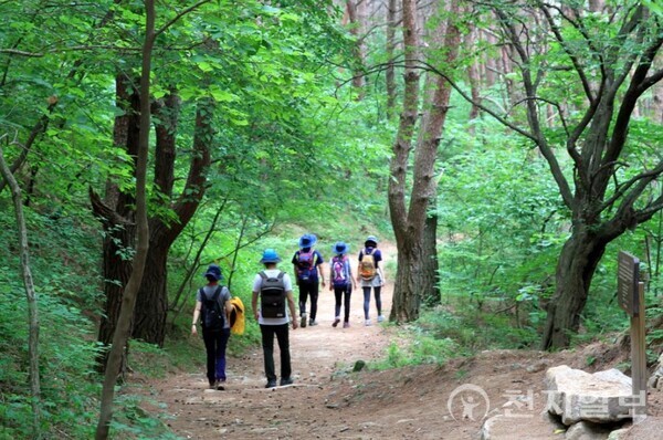 [Korean Attraction] A Mother's Embrace in the Colors of Autumn… The ...
