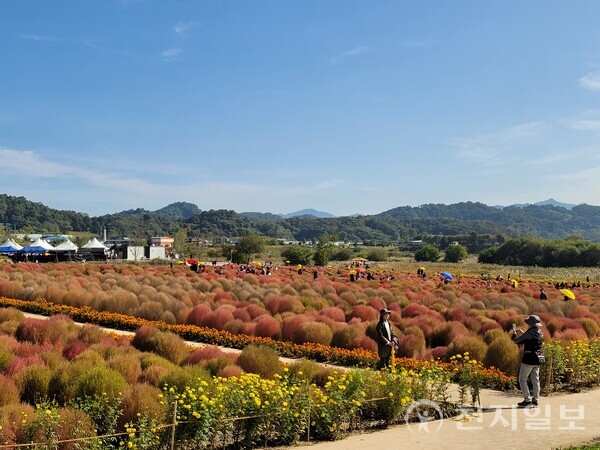 One Year After Subway Opening, Yeoncheon County Ushers in a New Era of ...