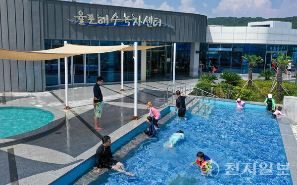 “Green Tea Fields and Outdoor Hot Springs… Healing in Boseong”