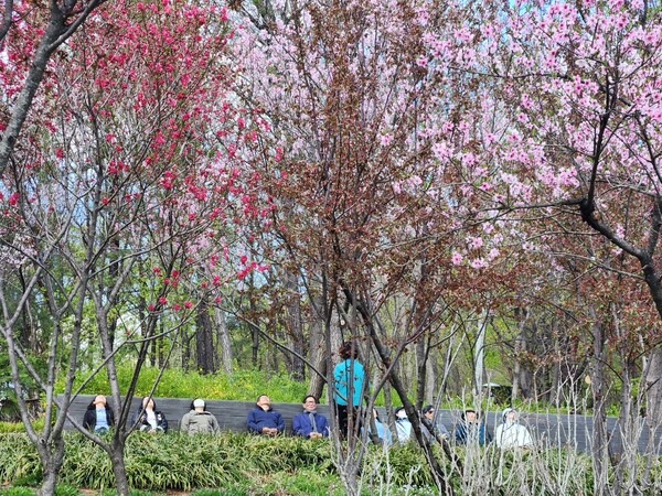 Finding Solace in Gardens and Forests… Seoul Expands Its Healing ...