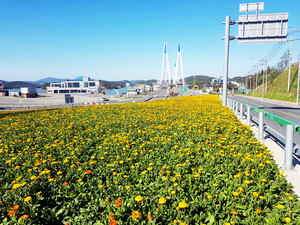 진도군, 군민과 함께하는 ‘365 꽃피는 진도 만들기’ 추진